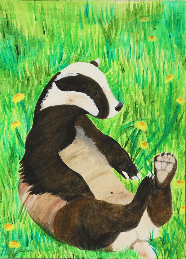 アナグマ｜PICFA〈ピクファ〉公式オンラインショップ