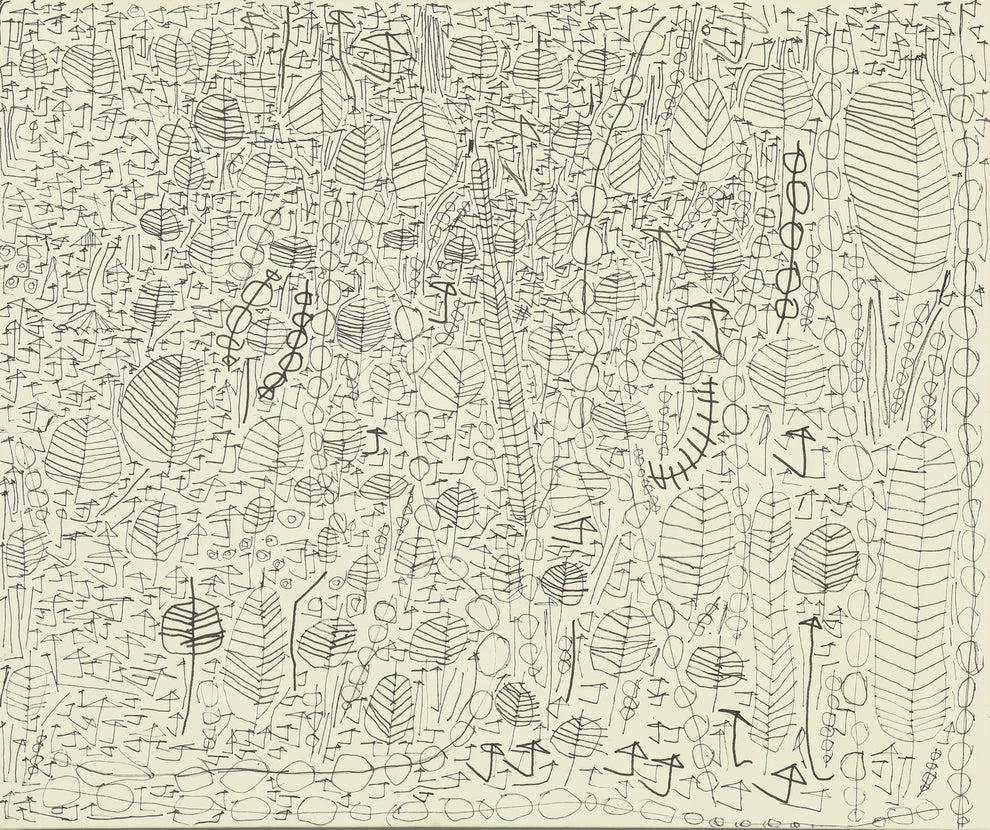 ドーナツ｜PICFA〈ピクファ〉